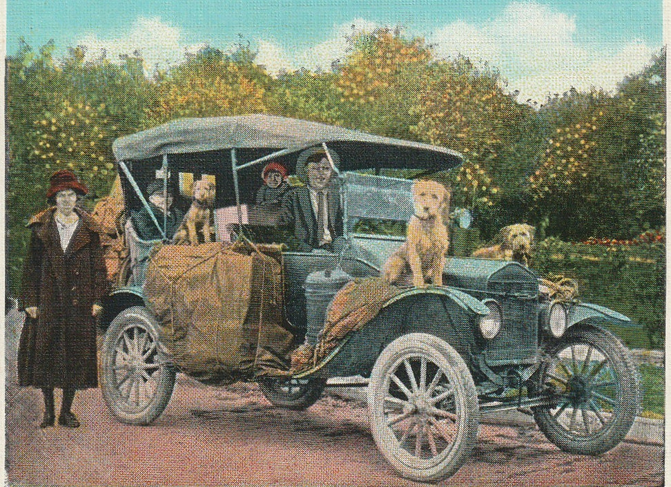 That Dear Old Flivver - King A. Woodburn - Poem Postcard, c. 1930s ...