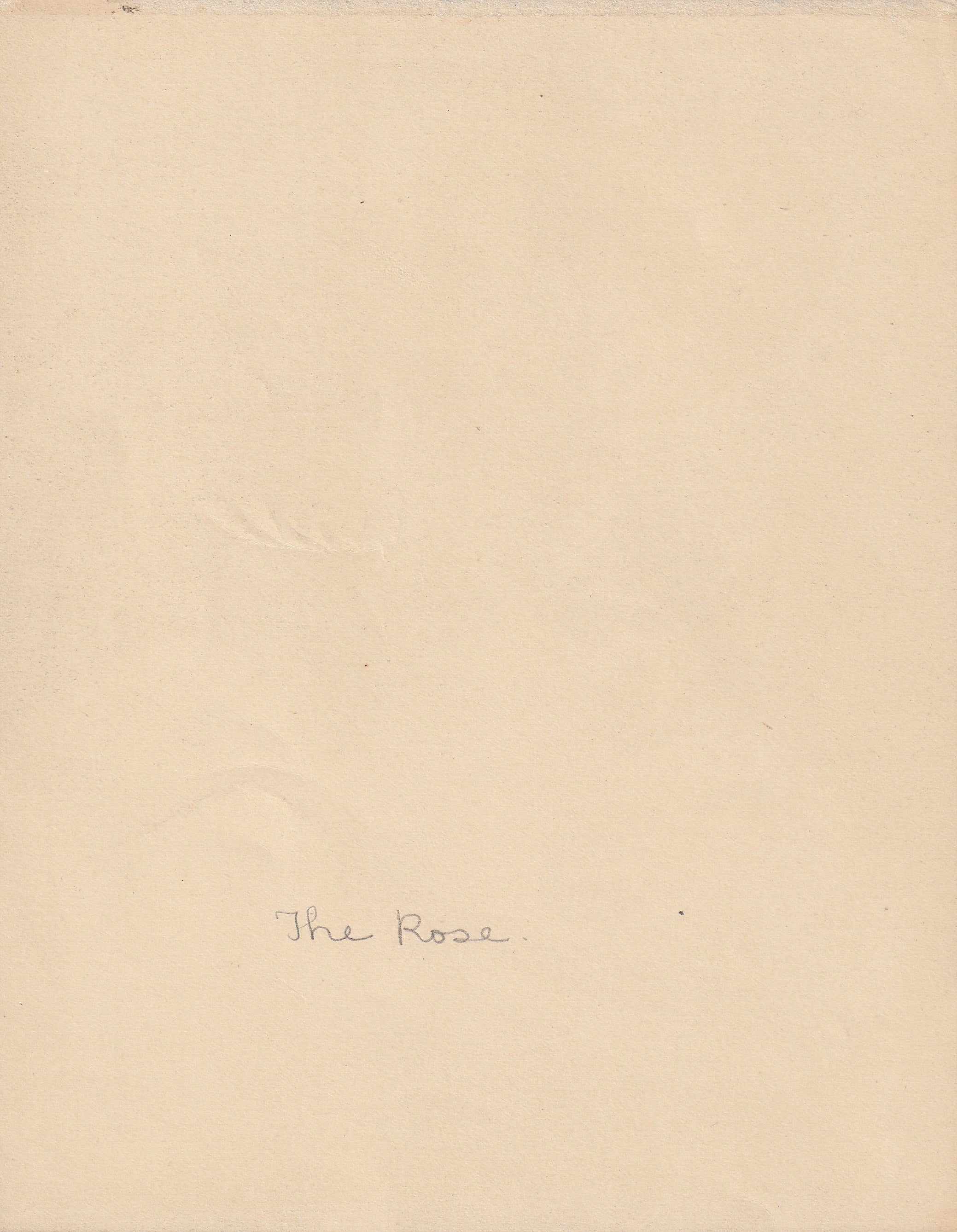 The Rose - Tonnesen Sisters - Print, c. 1900s – Ephemera Obscura Collection