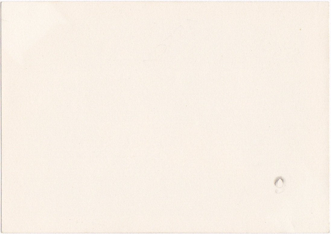 Toothsome Beauty- 1940s Vintage Photograph- Pretty Woman- Laying in Gr ...